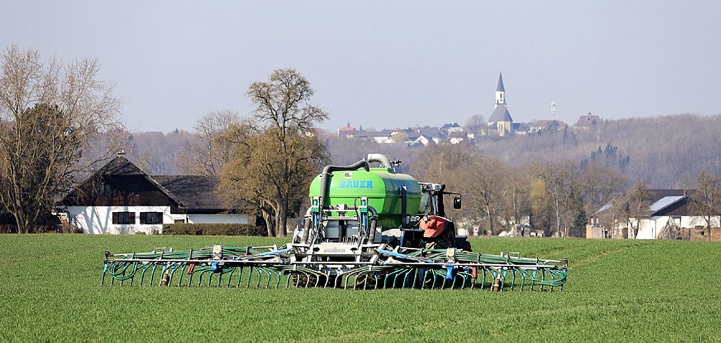 Fertilizer producer to boost ammonia production for hydrogen shipping ...