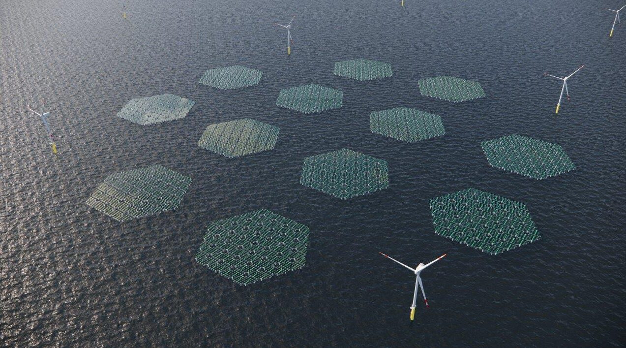 Nautical Sunrise project invests €6.8m in plans to build world's ...